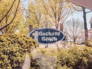 Buckroe Beach: Hampton's Forgotten Amusement Park Revisited