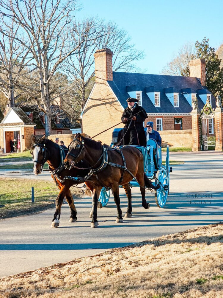 25 Insanely Fun Virginia Birthday Ideas You’ll Want To Try