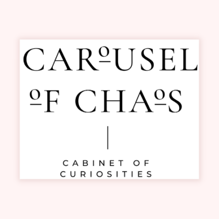 Theme Park Checklist – Carousel Of Chaos