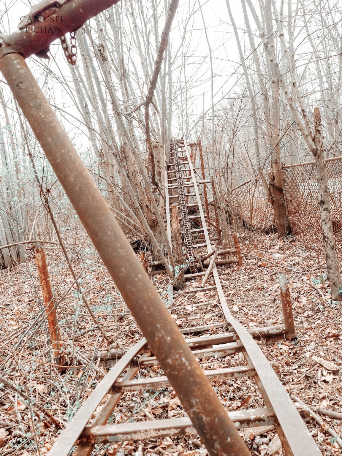 Home – Carousel Of Chaos