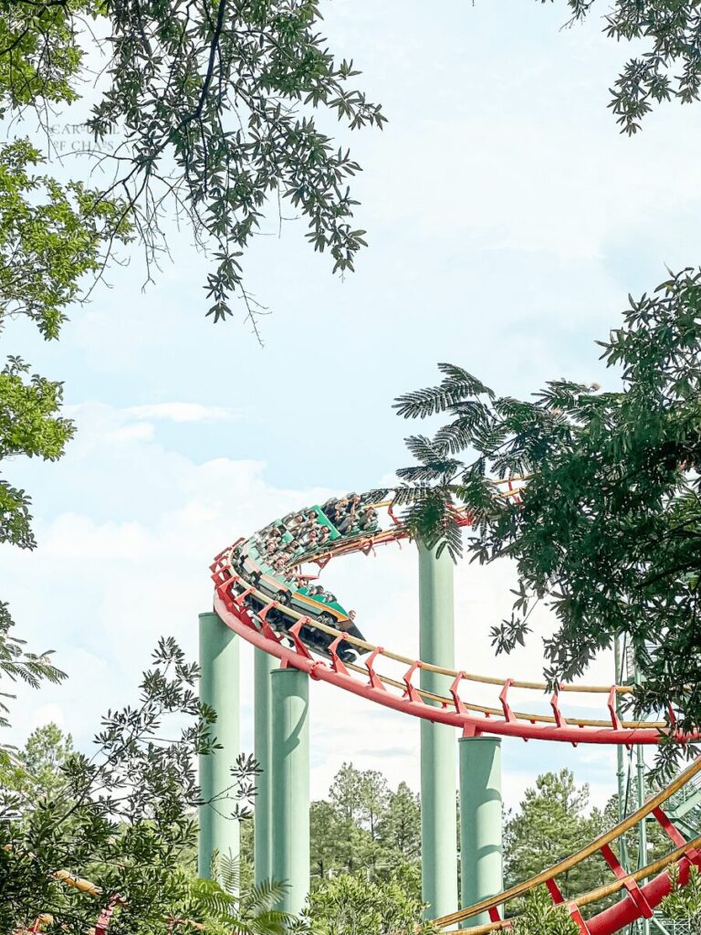 The Life & Death Of Ocean View Park – Carousel Of Chaos