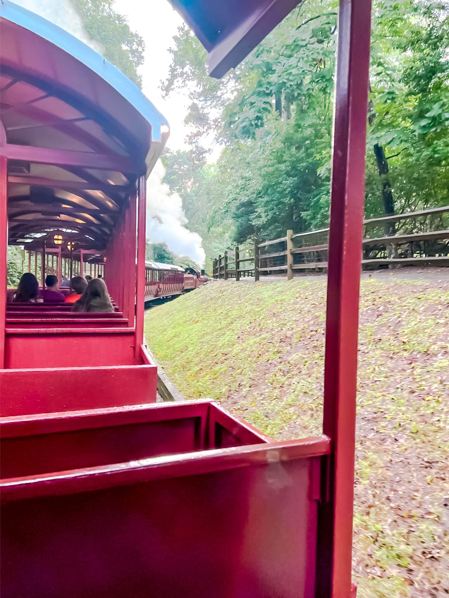 Top 15 Busch Gardens Williamsburg Rides: A Thrill Guide
